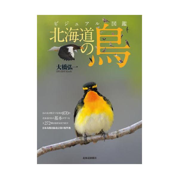 【発売日：2025年06月28日】大橋弘一/著/ビジュアル図鑑 北海道の鳥、メディア：BOOK、発売日：2025/06、重量：500g、商品コード：NEOBK-3103445、JANコード/ISBNコード：9784867211632