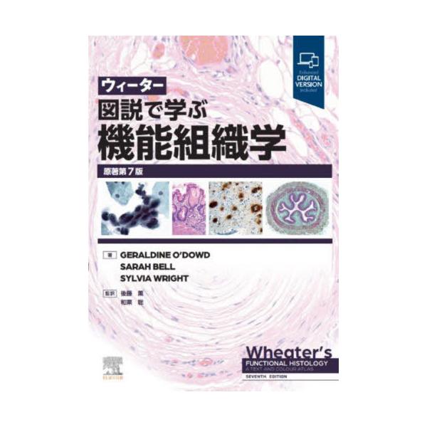 【発売日：2025年06月27日】GERALDINEO’DOWD/著 SARAHBELL/著 SYLVIAWRIGHT/著 後藤薫/監訳 和栗聡/監訳/ウィーター図説で学ぶ機能組織学 / 原タイトル:WHEATER’S FUNCTIONAL...