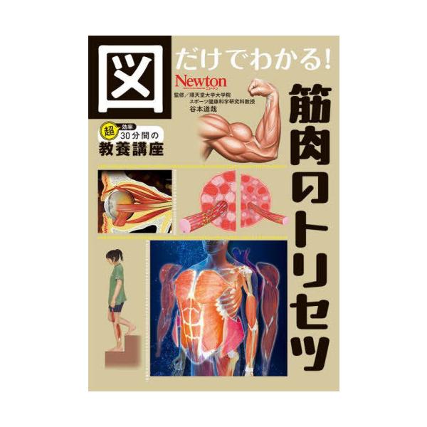 【発売日：2025年07月13日】谷本道哉/監修/図だけでわかる!筋肉のトリセツ (超効率30分間の教養講座)、メディア：BOOK、発売日：2025/07、重量：340g、商品コード：NEOBK-3113910、JANコード/ISBNコード...