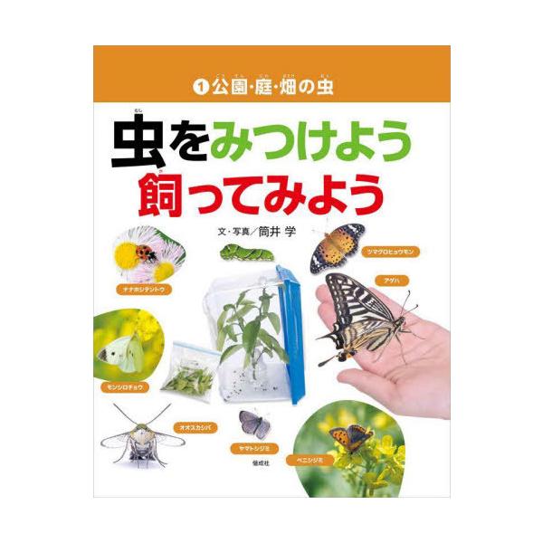 【発売日：2025年07月26日】筒井学/文・写真/虫をみつけよう飼ってみよう 1、メディア：BOOK、発売日：2025/07、重量：340g、商品コード：NEOBK-3118333、JANコード/ISBNコード：9784035287100