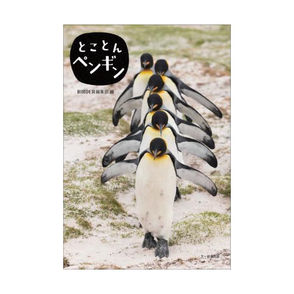 【発売日：2025年08月01日】BIRDER編集部/編/とことんペンギン、メディア：BOOK、発売日：2025/08、重量：279g、商品コード：NEOBK-3118340、JANコード/ISBNコード：9784829972618