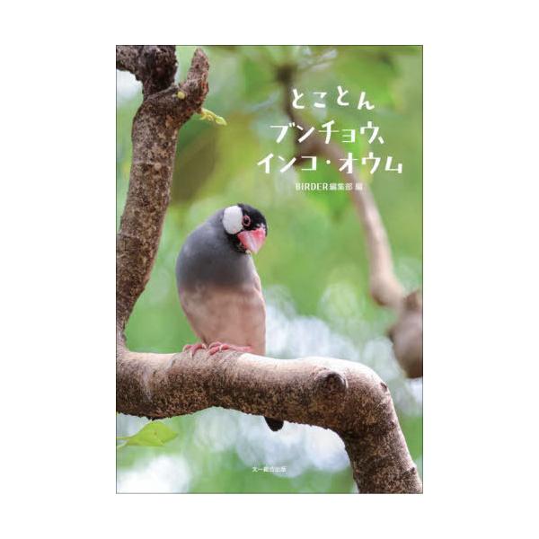 【発売日：2025年07月28日】BIRDER編集部/編/とことんブンチョウ、インコ・オウム、メディア：BOOK、発売日：2025/07、重量：340g、商品コード：NEOBK-3118344、JANコード/ISBNコード：97848299...