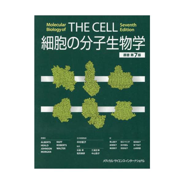 【発売日：2025年07月28日】BruceAlberts/〔ほか〕著 中村桂子/日本語版監修 水島昇/〔ほか〕監訳 青山聖子/〔ほか〕訳/細胞の分子生物学、メディア：BOOK、発売日：2025/07、重量：500g、商品コード：NEOBK...