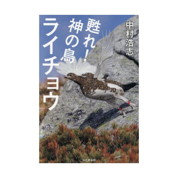 【発売日：2025年08月17日】中村浩志/著/甦れ!神の鳥ライチョウ、メディア：BOOK、発売日：2025/08、重量：340g、商品コード：NEOBK-3123311、JANコード/ISBNコード：9784635230131