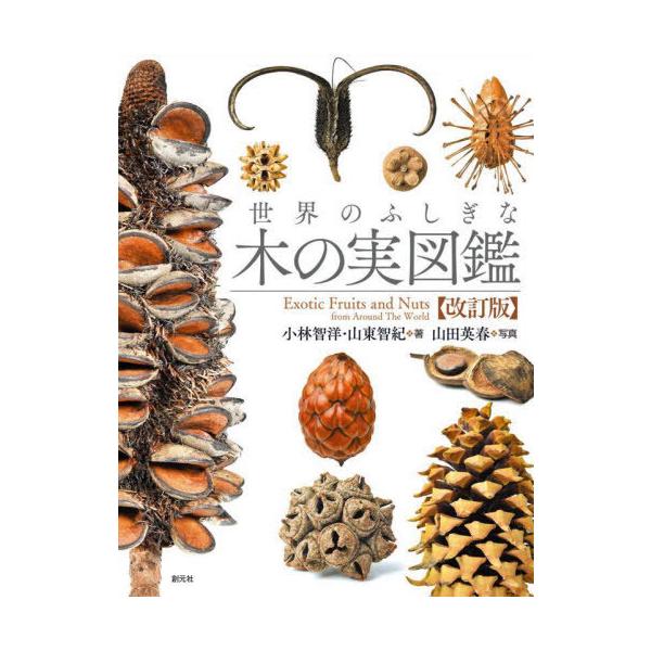 【発売日：2025年08月21日】小林智洋/著 山東智紀/著 山田英春/写真/世界のふしぎな木の実図鑑、メディア：BOOK、発売日：2025/08、重量：689g、商品コード：NEOBK-3125848、JANコード/ISBNコード：978...