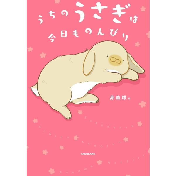 【発売日：2025年09月18日】赤血球/著/うちのうさぎは今日ものんびり、メディア：BOOK、発売日：2025/09、重量：340g、商品コード：NEOBK-3127301、JANコード/ISBNコード：9784046075420
