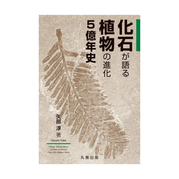 【発売日：2025年08月28日】矢部淳/著/化石が語る植物の進化5億年史、メディア：BOOK、発売日：2025/08、重量：500g、商品コード：NEOBK-3130197、JANコード/ISBNコード：9784621311776