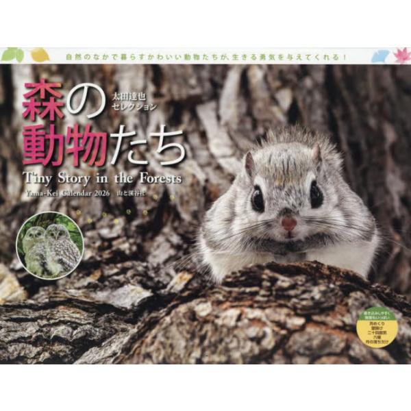 【発売日：2025年09月12日】太田達也/カレンダー 太田達也セレクション 森の動物たち Tiny Story in the Forests 2026、メディア：BOOK、発売日：2025/09、重量：300g、商品コード：NEOBK-3...