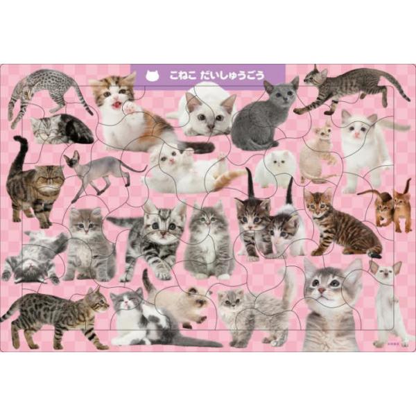 【発売日：2025年09月17日】永岡書店/C07 こねこだいしゅうごう 50ピース (頭のいい子を育むジグソー知育パズル)、メディア：BOOK、発売日：2025/09、重量：250g、商品コード：NEOBK-3136044、JANコード/...