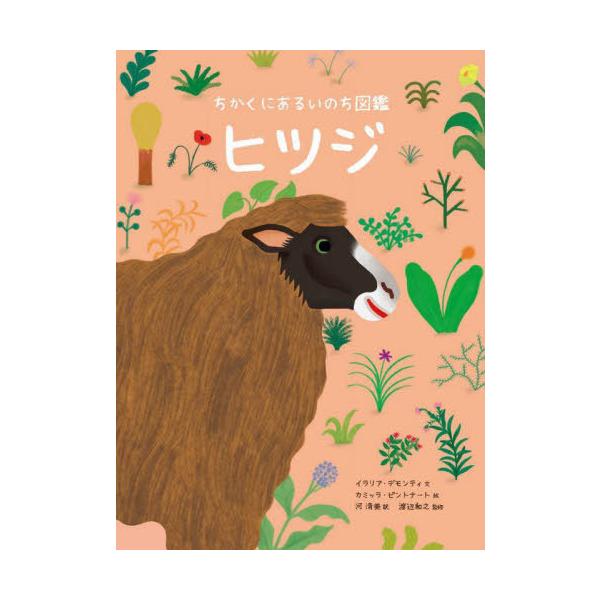 【発売日：2025年09月26日】イラリア・デモンティ/文 カミッラ・ピントナート/絵 河清美/訳 渡辺和之/監修/ヒツジ / 原タイトル:SHEEPOLOGY (ちかくにあるいのち図鑑)、メディア：BOOK、発売日：2025/09、重量：...