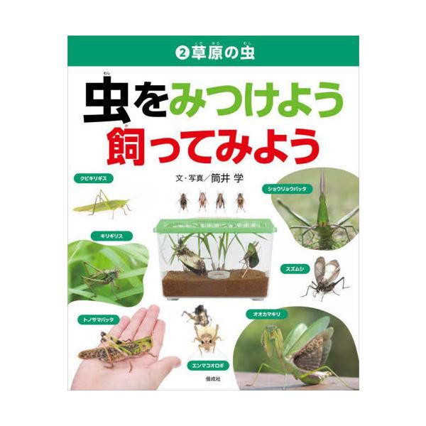 【発売日：2025年09月28日】筒井学/文・写真/虫をみつけよう飼ってみよう 2、メディア：BOOK、発売日：2025/09、重量：340g、商品コード：NEOBK-3139708、JANコード/ISBNコード：9784035287209