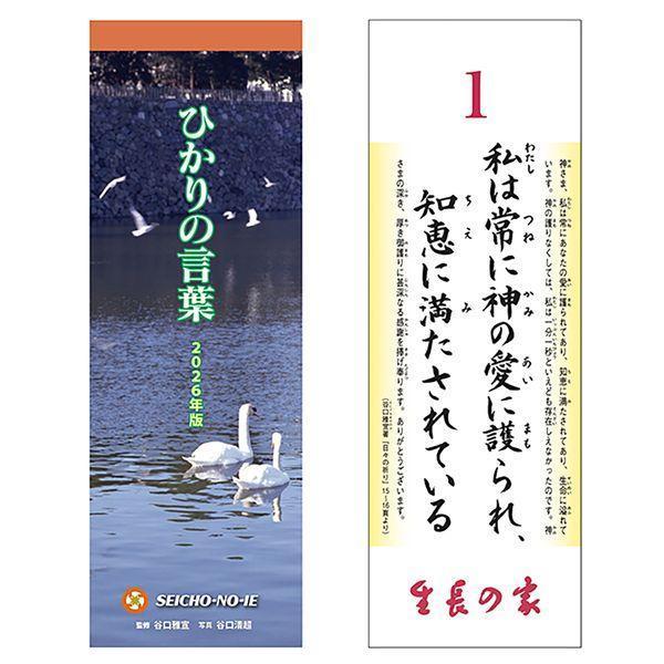 【発売日：2025年10月24日】谷口雅宣谷口清超/2026 ひかりの言葉、メディア：BOOK、発売日：2025/10、重量：340g、商品コード：NEOBK-3149975、JANコード/ISBNコード：9784531095445