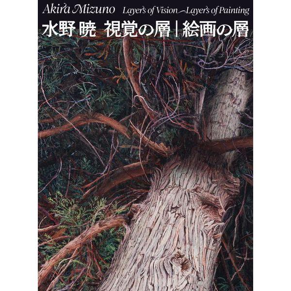 【発売日：2025年11月13日】水野暁/著 群馬県立近代美術館/編集/水野暁 視覚の層 絵画の層、メディア：BOOK、発売日：2025/11、重量：540g、商品コード：NEOBK-3156457、JANコード/ISBNコード：97849...