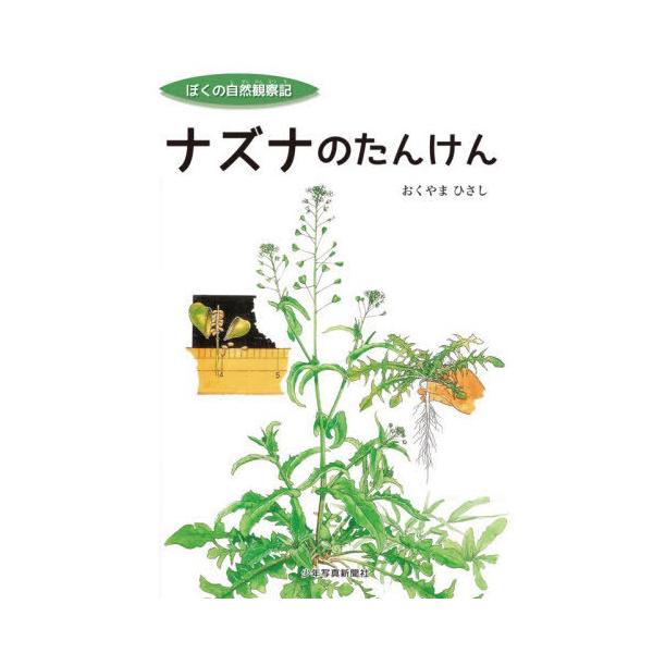 【発売日：2025年11月30日】おくやまひさし/著/ナズナのたんけん (ぼくの自然観察記)、メディア：BOOK、発売日：2025/11、重量：340g、商品コード：NEOBK-3161966、JANコード/ISBNコード：97848798...