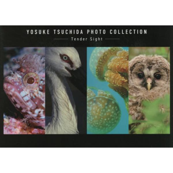 【発売日：2025年12月28日】土田陽介/編著/土田陽介 写真集 Tender Sight、メディア：BOOK、発売日：2025/12、重量：690g、商品コード：NEOBK-3172915、JANコード/ISBNコード：97849089...
