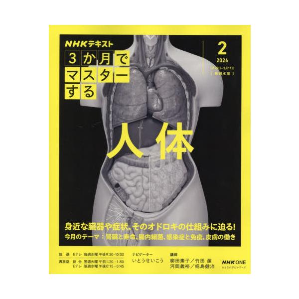 【発売日：2026年01月21日】柳田素子/〔ほか〕講師 日本放送協会/編集 NHK出版/編集/3か月でマスターする 人体 2月号 (NHK趣味どきっ!)、メディア：BOOK、発売日：2026/01、重量：340g、商品コード：NEOBK-...