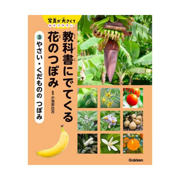 【発売日：2026年02月28日】小池安比古/監修/教科書にでてくる花のつぼみ 写真が大きくてわかりやすい! 3 やさい・くだもののつぼみ、メディア：BOOK、発売日：2026/02、重量：340g、商品コード：NEOBK-3181165、...
