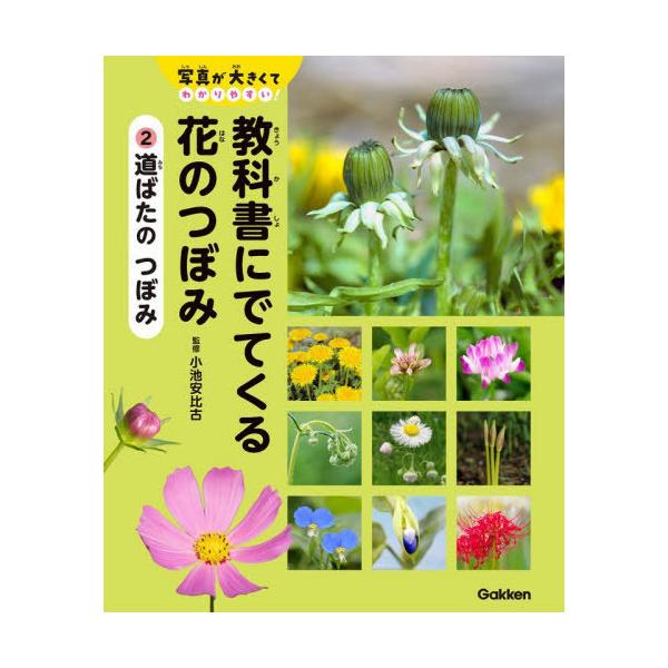 【発売日：2026年02月28日】小池安比古/監修/教科書にでてくる花のつぼみ 写真が大きくてわかりやすい! 2 道ばたのつぼみ、メディア：BOOK、発売日：2026/02、重量：340g、商品コード：NEOBK-3181168、JANコー...