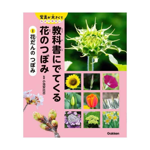 【発売日：2026年02月28日】小池安比古/監修/教科書にでてくる花のつぼみ 写真が大きくてわかりやすい! 1 花だんのつぼみ、メディア：BOOK、発売日：2026/02、重量：340g、商品コード：NEOBK-3181169、JANコー...