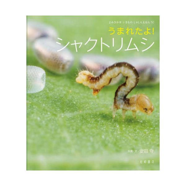 【発売日：2026年02月28日】安田守/写真・文/うまれたよ!シャクトリムシ (よみきかせいきものしゃしんえほん)、メディア：BOOK、発売日：2026/02、重量：340g、商品コード：NEOBK-3187656、JANコード/ISBN...