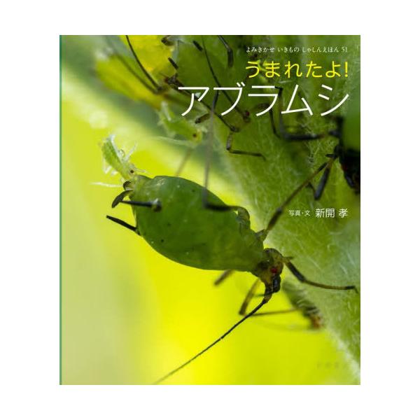 【発売日：2026年02月28日】新開孝/写真・文/うまれたよ!アブラムシ (よみきかせいきものしゃしんえほん)、メディア：BOOK、発売日：2026/02、重量：340g、商品コード：NEOBK-3187660、JANコード/ISBNコー...