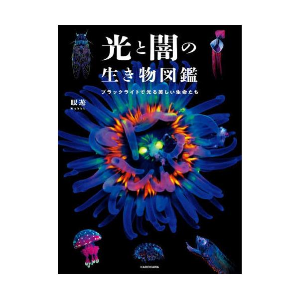 【発売日：2026年02月27日】眼遊/著/光と闇の生き物図鑑 ブラックライトで光る美しい生命たち、メディア：BOOK、発売日：2026/02、重量：690g、商品コード：NEOBK-3187899、JANコード/ISBNコード：97840...