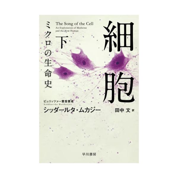 【発売日：2026年03月07日】シッダールタ・ムカジー/著 田中文/訳/細胞 ミクロの生命史 下 / 原タイトル:THE SONG OF THE CELL (ハヤカワ文庫 NF 624 自然科学)、メディア：BOOK、発売日：2026/0...