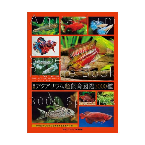 【発売日：2026年03月14日】月刊アクアライフ編集部/編/最新アクアリウム超飼育図鑑3000種、メディア：BOOK、発売日：2026/03、重量：340g、商品コード：NEOBK-3193070、JANコード/ISBNコード：97849...