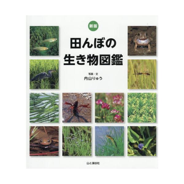 【発売日：2026年03月15日】内山りゅう/写真・文/田んぼの生き物図鑑、メディア：BOOK、発売日：2026/03、重量：340g、商品コード：NEOBK-3193821、JANコード/ISBNコード：9784635063777