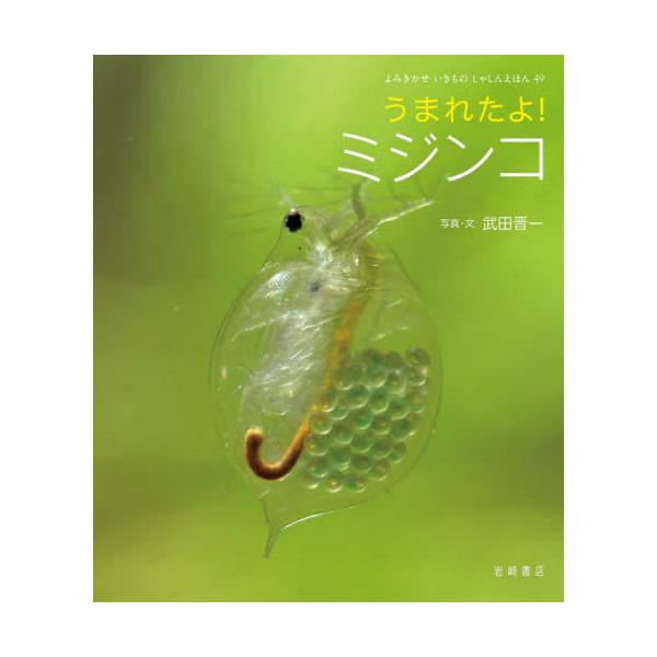 【発売日：2026年03月28日】武田晋一/写真・文/うまれたよ!ミジンコ (よみきかせいきものしゃしんえほん)、メディア：BOOK、発売日：2026/03、重量：340g、商品コード：NEOBK-3197069、JANコード/ISBNコー...