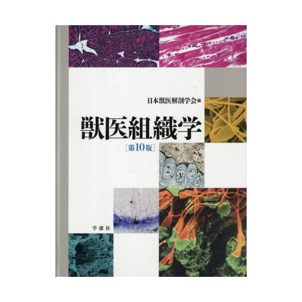 【発売日：2026年02月28日】日本獣医解剖学会/編/獣医組織学、メディア：BOOK、発売日：2026/02、重量：850g、商品コード：NEOBK-3198847、JANコード/ISBNコード：9784873628530