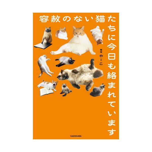 【発売日：2026年04月26日】やーこ/著/容赦のない猫たちに今日も絡まれています、メディア：BOOK、発売日：2026/04、重量：340g、商品コード：NEOBK-3207666、JANコード/ISBNコード：9784049026788