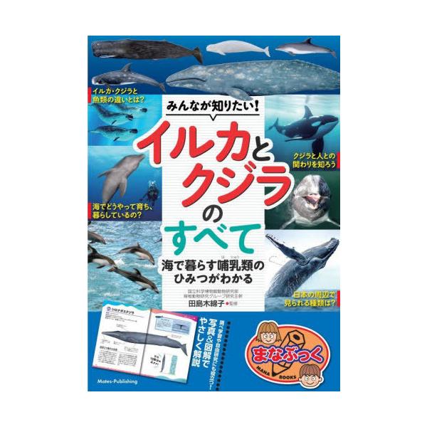 【発売日：2026年05月13日】田島木綿子/監修/みんなが知りたい!イルカとクジラのすべて 海で暮らす哺乳類のひみつがわかる (まなぶっく)、メディア：BOOK、発売日：2026/05、重量：340g、商品コード：NEOBK-321005...