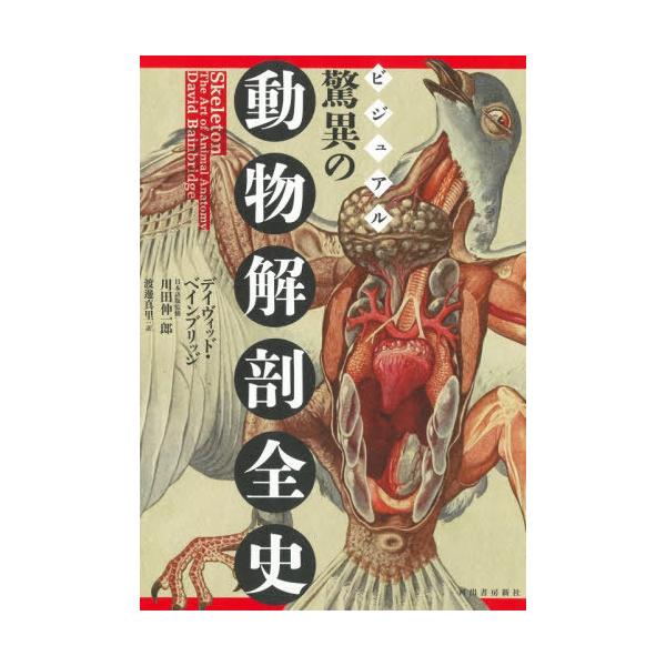 【発売日：2026年05月17日】デイヴィッド・ベインブリッジ/著 川田伸一郎/日本語版監修 渡邊真里/訳/ビジュアル驚異の動物解剖全史 / 原タイトル:SKELETON、メディア：BOOK、発売日：2026/05、重量：500g、商品コー...