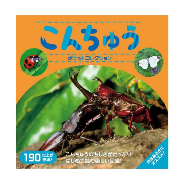 【発売日：2026年06月10日】寺山守/監修 久保田敏/写真/こんちゅうポケットコレクション (マイポケットコレクション)、メディア：BOOK、発売日：2026/06、重量：250g、商品コード：NEOBK-3218531、JANコード/...