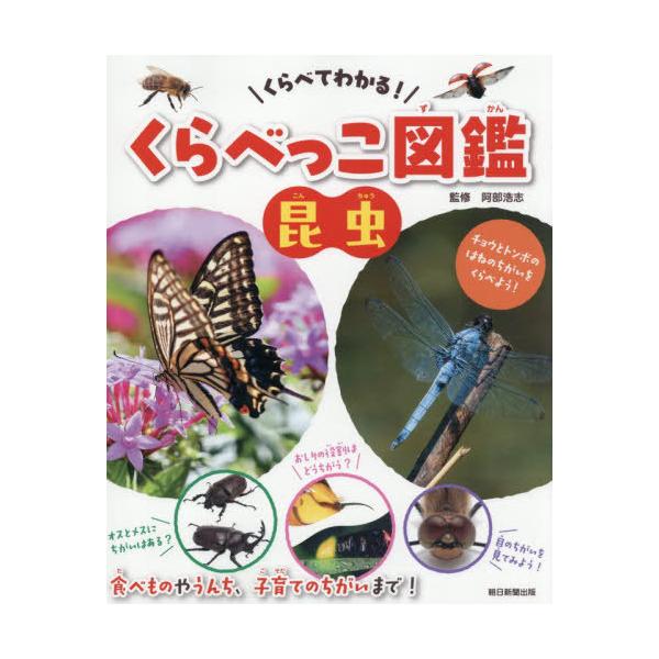 【発売日：2026年07月18日】阿部浩志/監修/くらべてわかる!くらべっこ図鑑昆虫、メディア：BOOK、発売日：2026/07、重量：340g、商品コード：NEOBK-3231387、JANコード/ISBNコード：9784023325081
