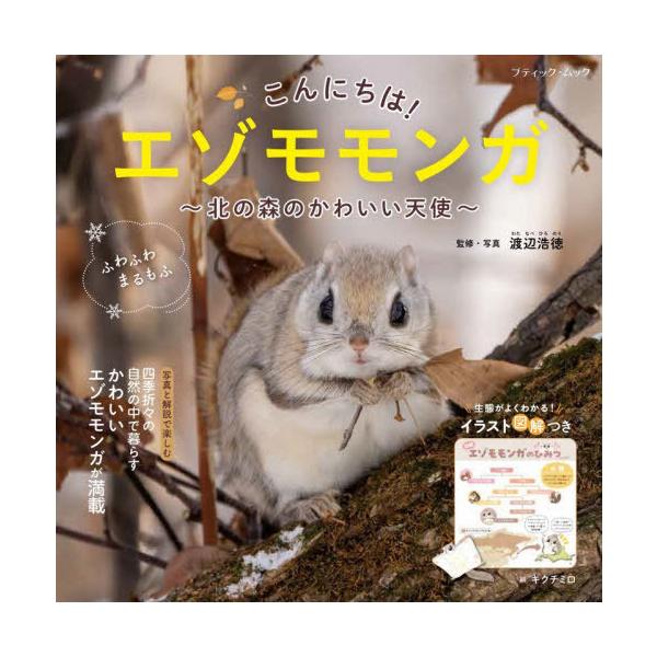 【発売日：2026年07月28日】渡辺浩徳/監修・写真/こんにちは!エゾモモンガ〜北の森のかわい (ブティック・ムック)、メディア：BOOK、発売日：2026/07、重量：340g、商品コード：NEOBK-3231624、JANコード/IS...