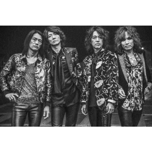 【発売日：2026年10月30日】MITCHIKEDA/THE YELLOW MONKEY 偉大なる復活 Photographs by MITCH IKEDA、メディア：BOOK、発売日：2026/10、重量：450g、商品コード：NEOB...