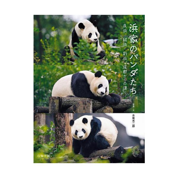 【発売日：2026年07月31日】水尾光二郎/写真・文/浜家のパンダたち 良浜・結浜・彩浜、成都からの便り、メディア：BOOK、発売日：2026/07、重量：340g、商品コード：NEOBK-3233971、JANコード/ISBNコード：9...