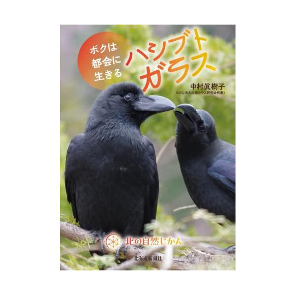 【発売日：2026年09月28日】中村眞樹子/著/ボクは都会に生きるハシブトガラス、メディア：BOOK、発売日：2026/09、重量：500g、商品コード：NEOBK-3249804、JANコード/ISBNコード：9784867212035