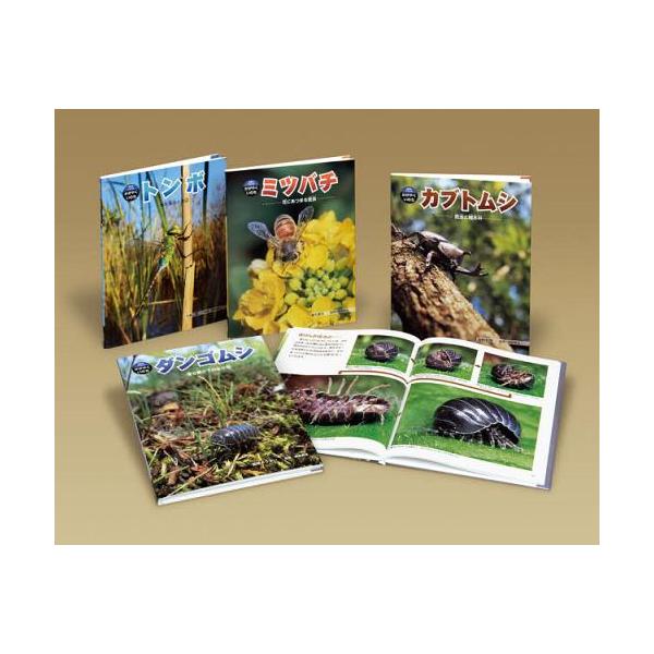 【発売日：2010年03月28日】海野和男/ほか著 岡島秀治/ほか監修/科学のアルバム かがやくいのち 第1期 4巻セット、メディア：BOOK、発売日：2010/03、重量：340g、商品コード：NEOBK-732056、JANコード/IS...