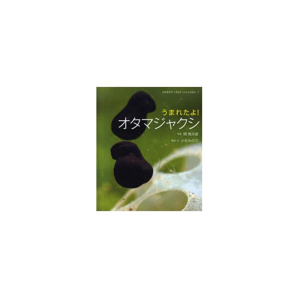 【発売日：2011年03月28日】関慎太郎/写真 小杉みのり/構成・文/うまれたよ!オタマジャクシ (よみきかせいきものしゃしんえほん)、メディア：BOOK、発売日：2011/03、重量：340g、商品コード：NEOBK-929088、JA...