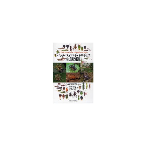 【発売日：2011年07月22日】日本直翅類学会/監修 村井貴史/著 伊藤ふくお/著/バッタ・コオロギ・キリギリス生態図鑑、メディア：BOOK、発売日：2011/07、重量：673g、商品コード：NEOBK-985631、JANコード/IS...