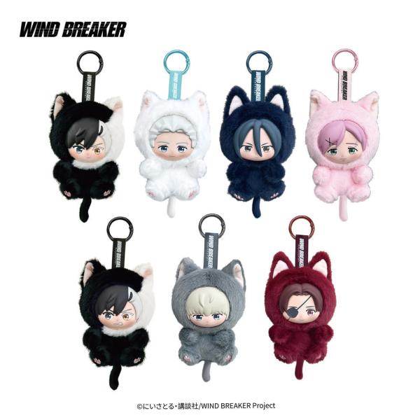 【発売日：2026年06月30日】NuiFreinds キャラぬい WIND BREAKER BOX、メディア：GOODS、発売日：2026/06、重量：420g、商品コード：NEOGDS-1023207、JANコード/ISBNコード：45...