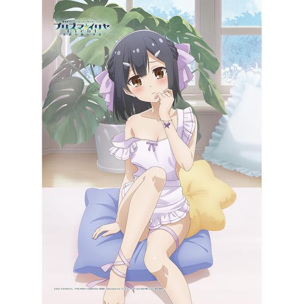 【発売日：2026年05月31日】劇場版 「Fate/kaleid liner プリズマ☆イリヤ Licht 名前の無い少女」 描き下ろし B2 タペストリー (美遊 / エプロン) Wスエード、メディア：GOODS、発売日：2026/05...