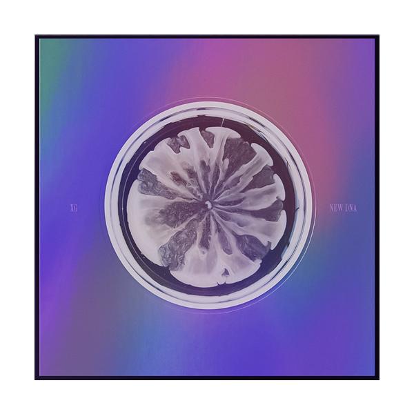 【発売日：2023年09月27日】XG/NEW DNA ＜X ver.＞ [初回生産限定盤]、メディア：CDA、発売日：2023/09/27、重量：980g、商品コード：NFCC-5、JANコード/ISBNコード：4544738000056