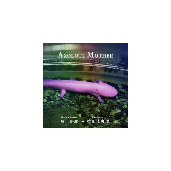 【発売日：2026年04月29日】Rooftop Camels (屋上駱駝)+按田佳央理/AXOLOTL MOTHER、メディア：CDA、発売日：2026/04/29、重量：80g、商品コード：NONOYA-16、JANコード/ISBNコー...