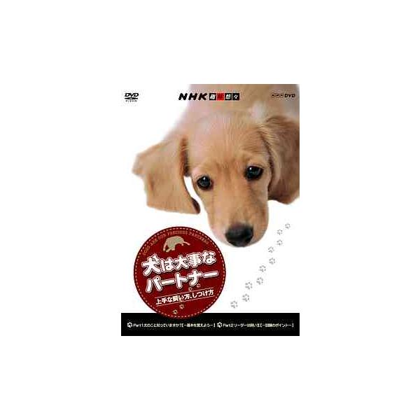 【発売日：2006年11月24日】趣味教養/NHK趣味悠々 犬は大事なパートナー 上手な飼い方、しつけ方、メディア：DVD、発売日：2006/11/24、商品コード：NSDS-10440、JANコード/ISBNコード：4988066152900