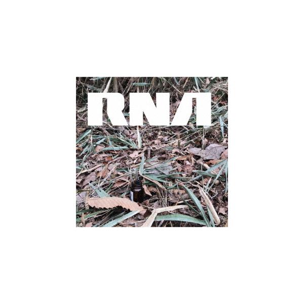 【発売日：2021年12月08日】RNA/A Taste of...RNA、メディア：CDA、発売日：2021/12/08、商品コード：OOO-39、JANコード/ISBNコード：4526180557852