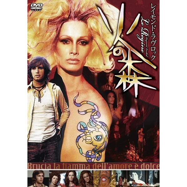 【発売日：2017年05月27日】洋画/火の森、メディア：DVD、発売日：2017/05/27、商品コード：ORS-7310、JANコード/ISBNコード：4580363359350